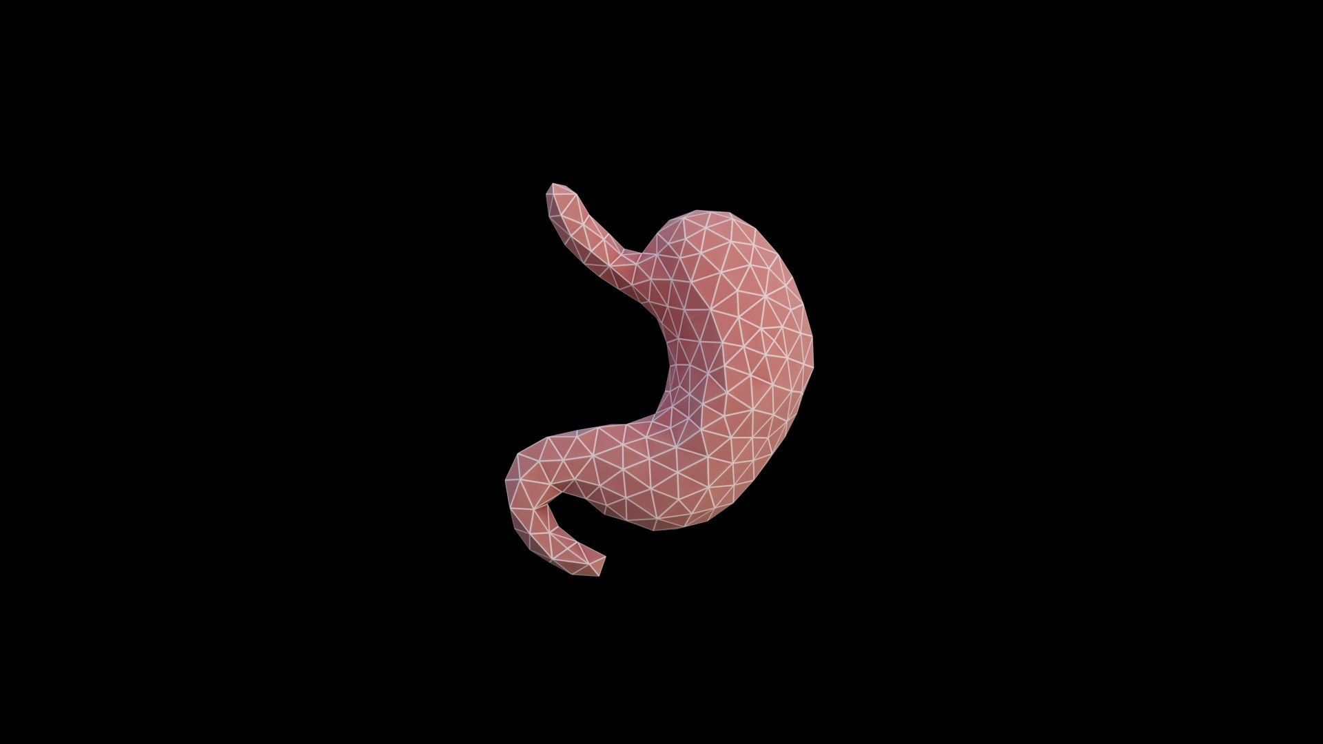 3D Origami Human Stomach Unfolding Growing Animation Model - TurboSquid ...