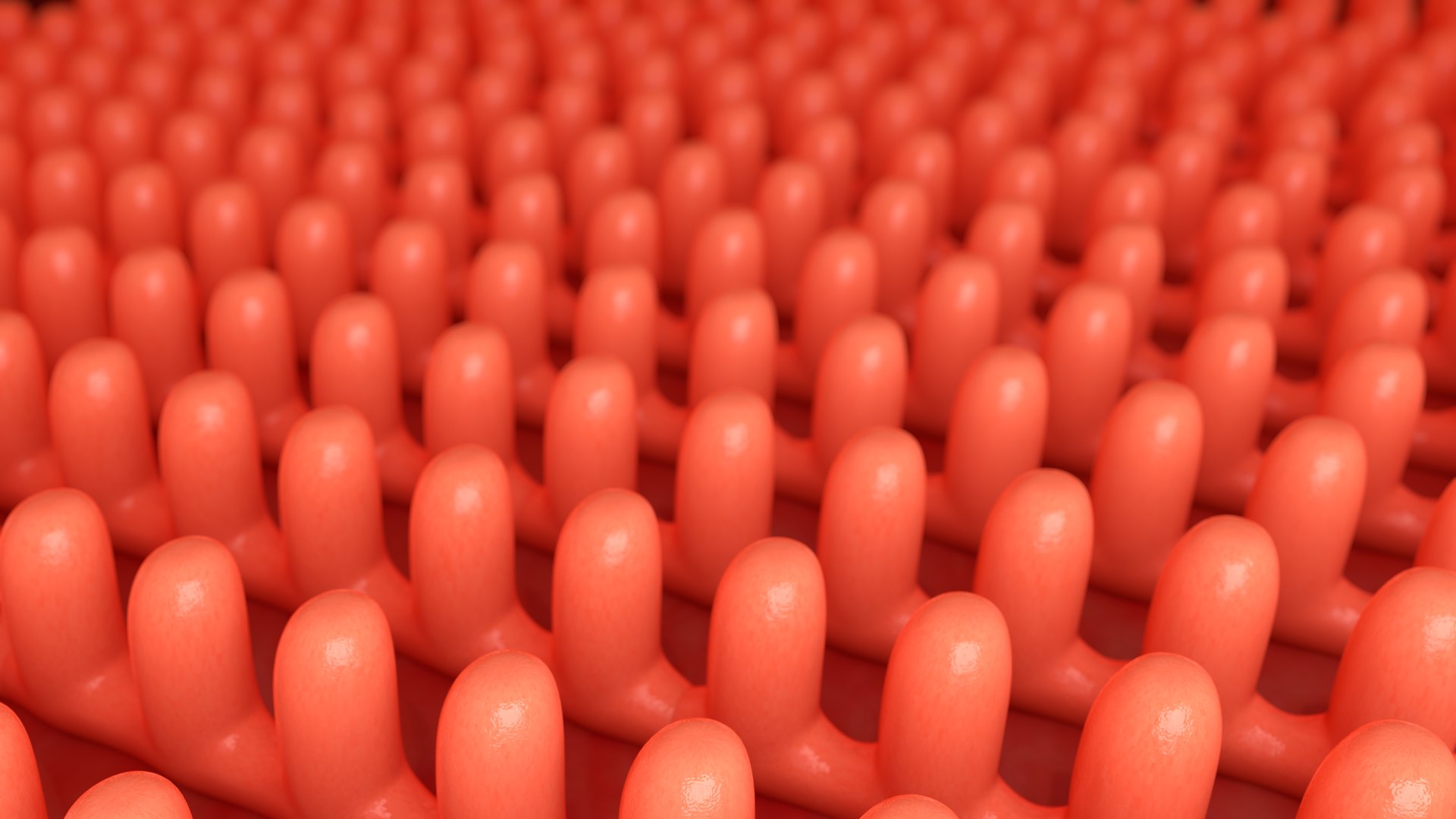 3D Model Intestinal Villi Animated - TurboSquid 2189315