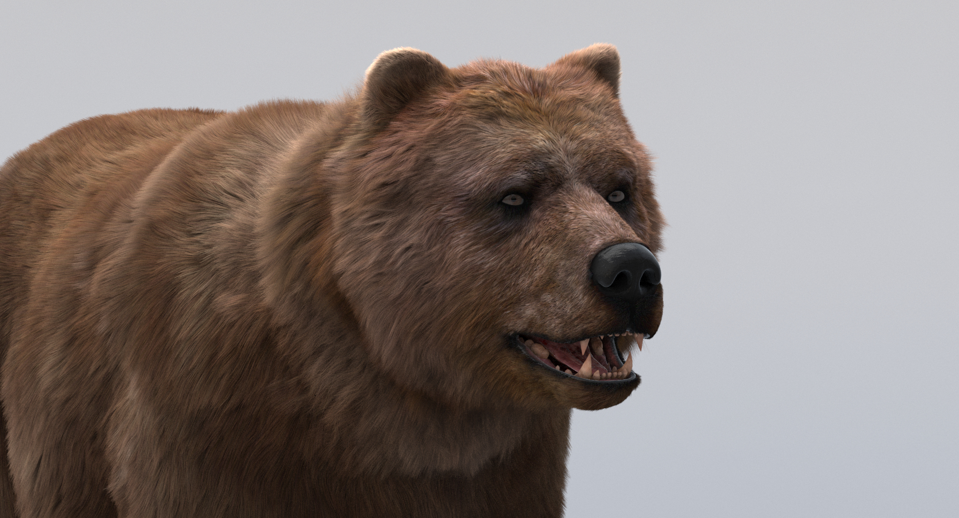 3d model bear fur