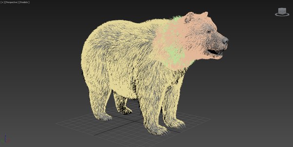 3d model bear fur