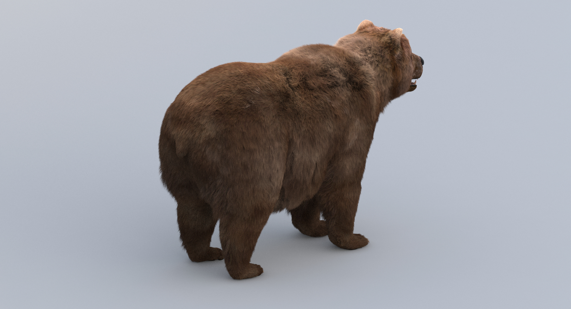 3d model bear fur