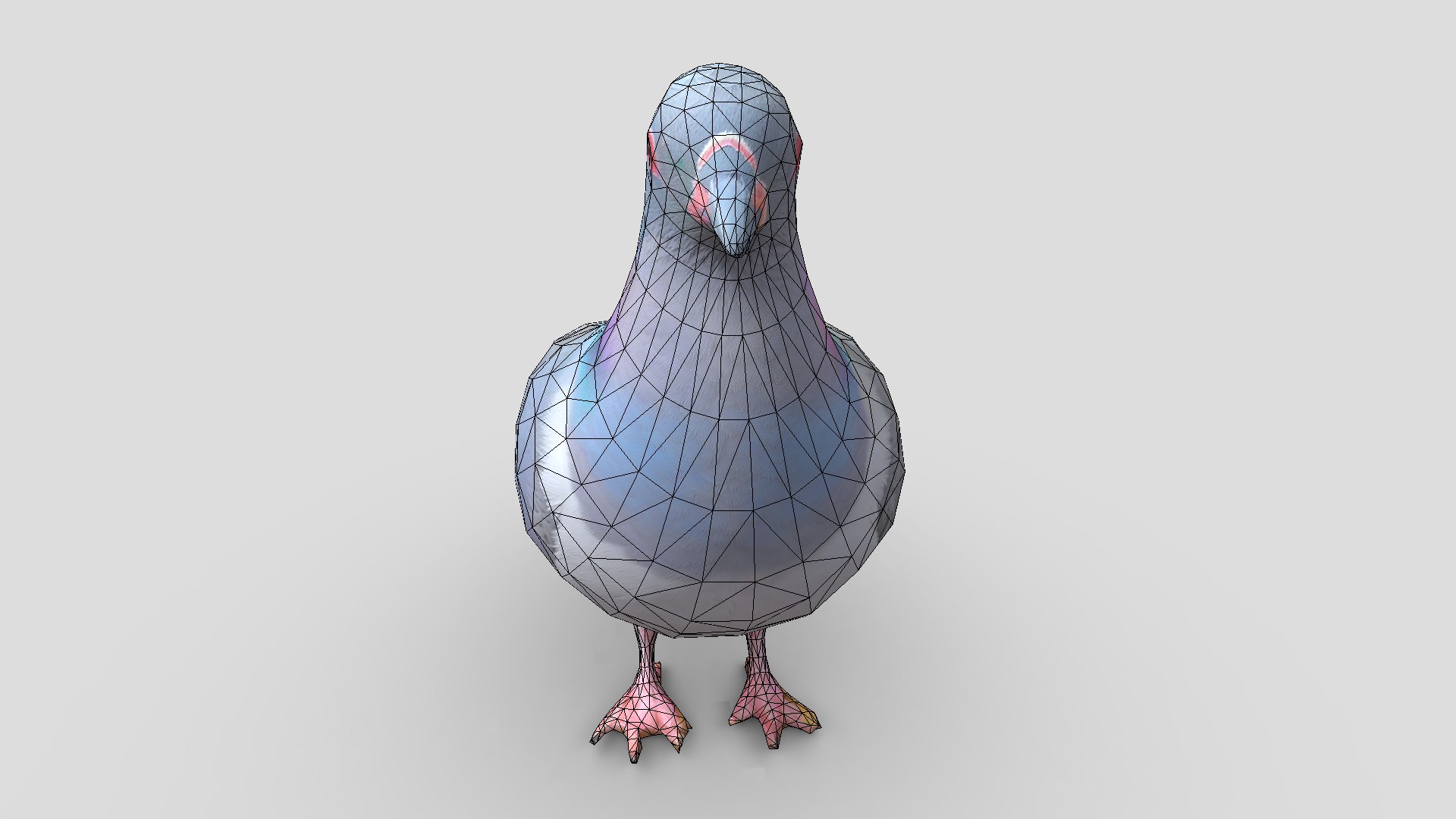 Standing Bird Pigeon 3D Model - TurboSquid 2221978