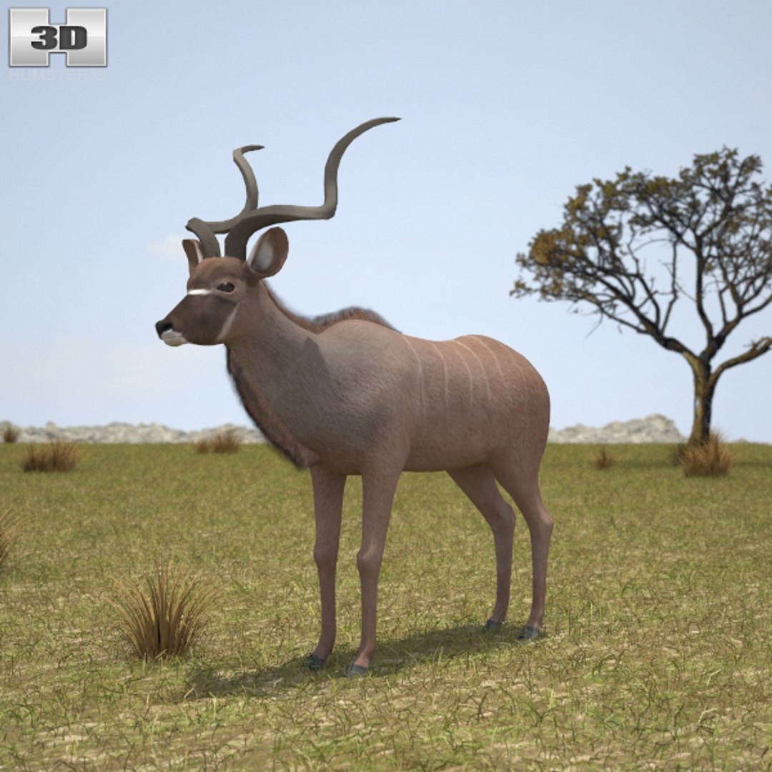 3d greater kudu