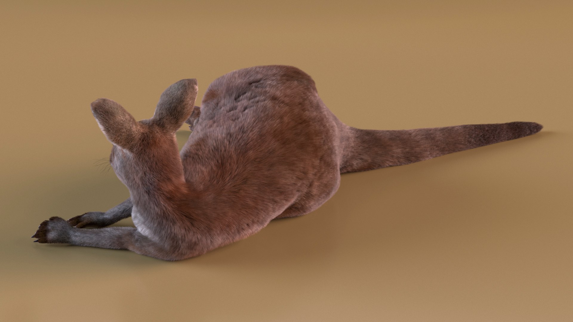 3D Mother Kangaroo With Baby Lying Fur Model - TurboSquid 2250326