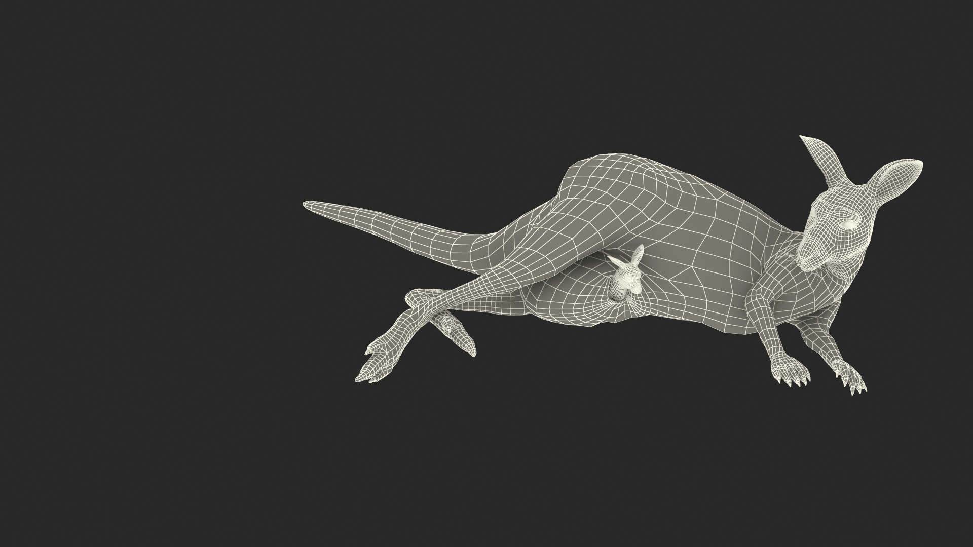 3D Mother Kangaroo With Baby Lying Fur Model - TurboSquid 2250326