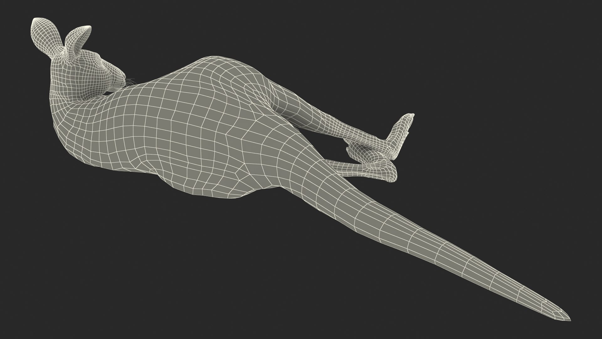 3D Mother Kangaroo With Baby Lying Fur Model - TurboSquid 2250326