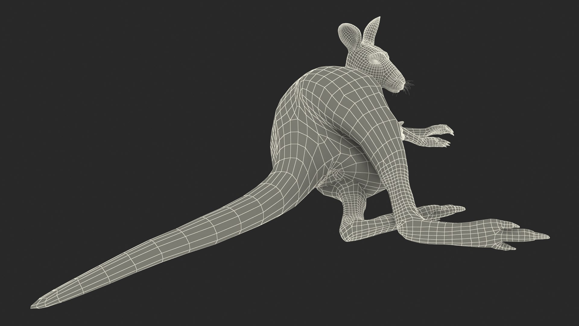3D Mother Kangaroo With Baby Lying Fur Model - TurboSquid 2250326