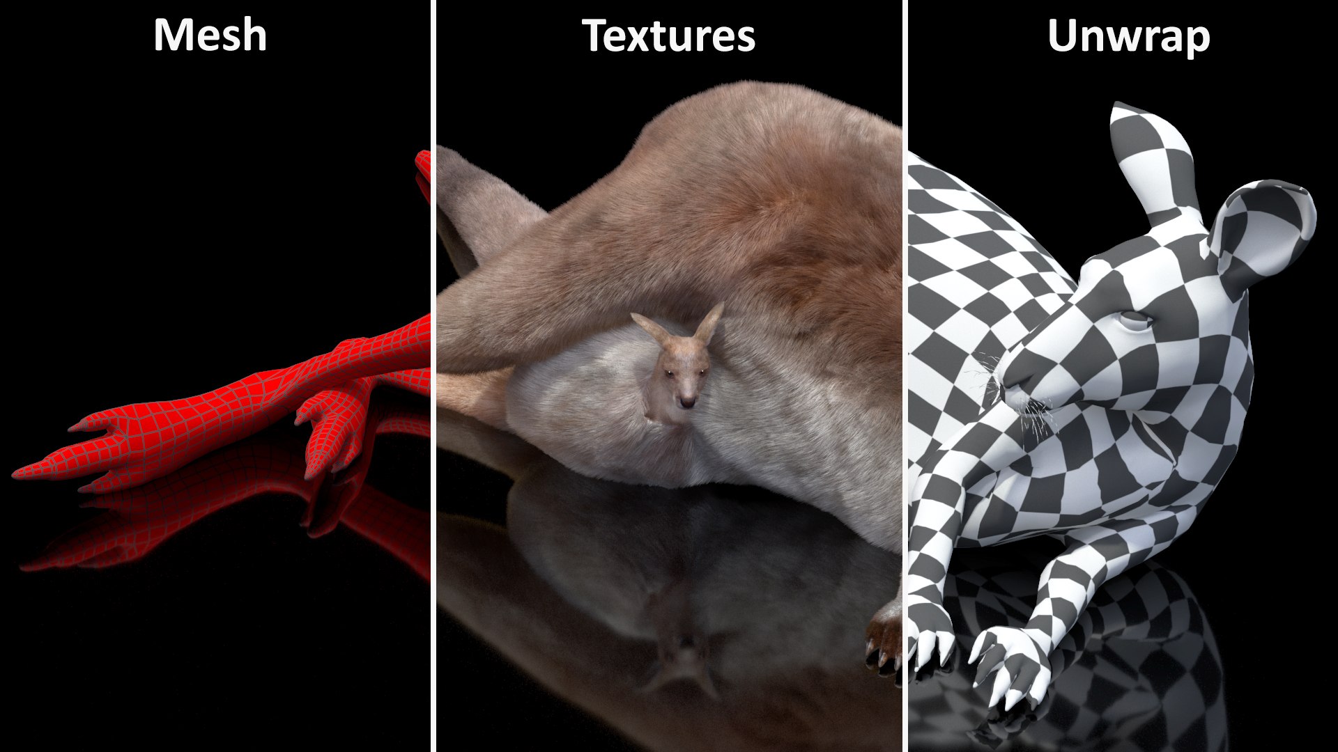 3D Mother Kangaroo With Baby Lying Fur Model - TurboSquid 2250326