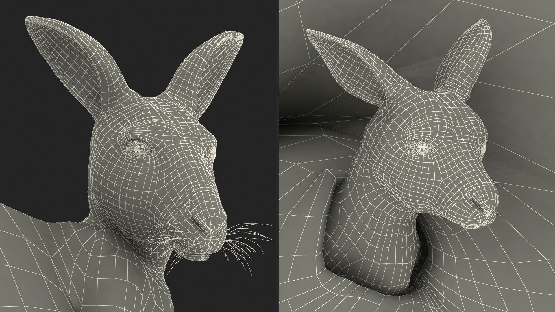 3D Mother Kangaroo With Baby Lying Fur Model - TurboSquid 2250326