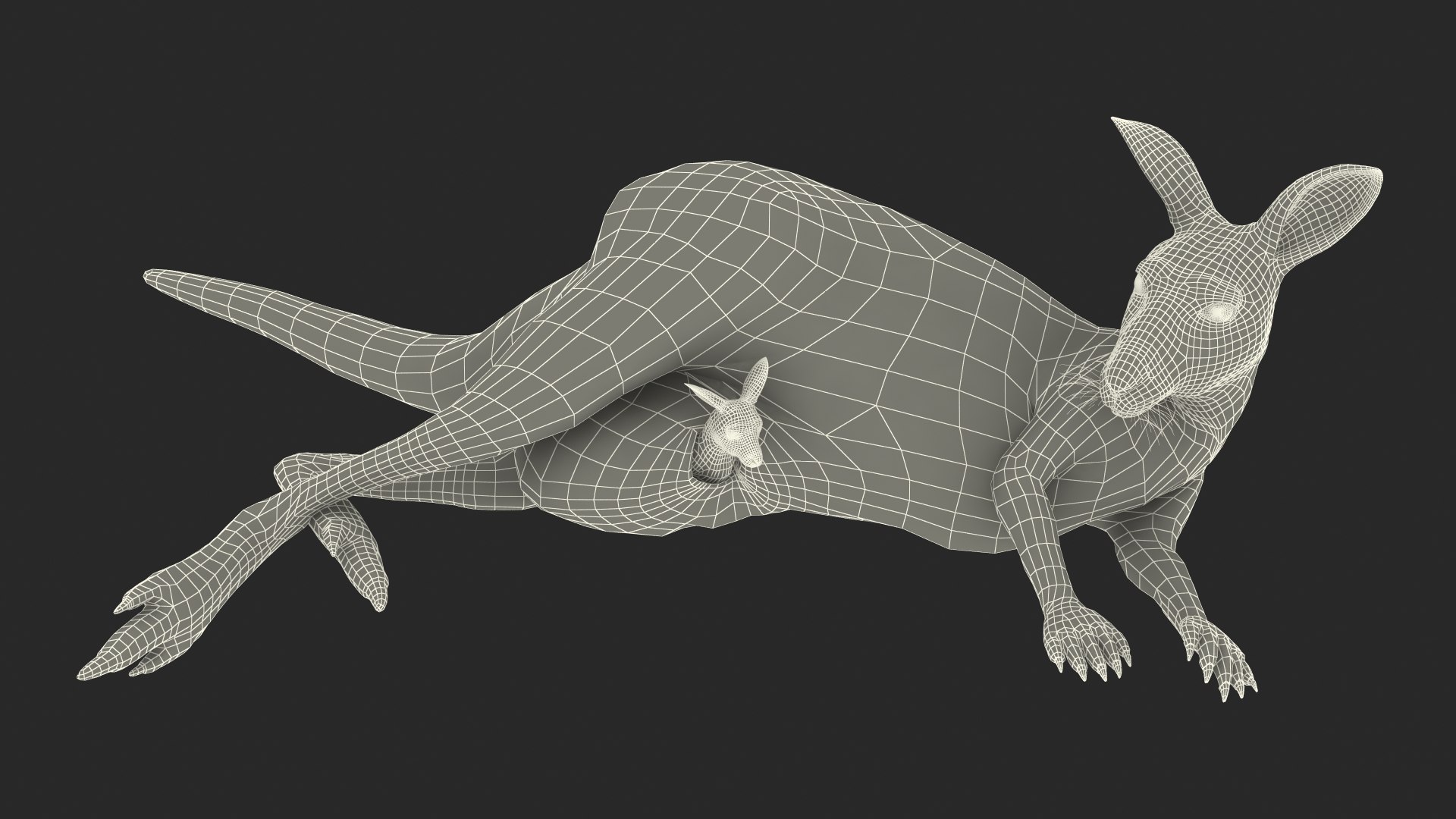 3D Mother Kangaroo With Baby Lying Fur Model - TurboSquid 2250326