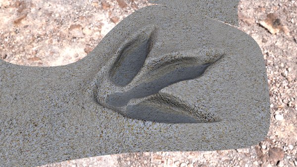 3D t rex tracks element - TurboSquid 1212296