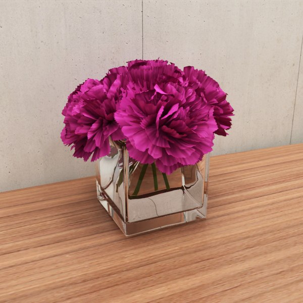 3D Carnation Models | TurboSquid