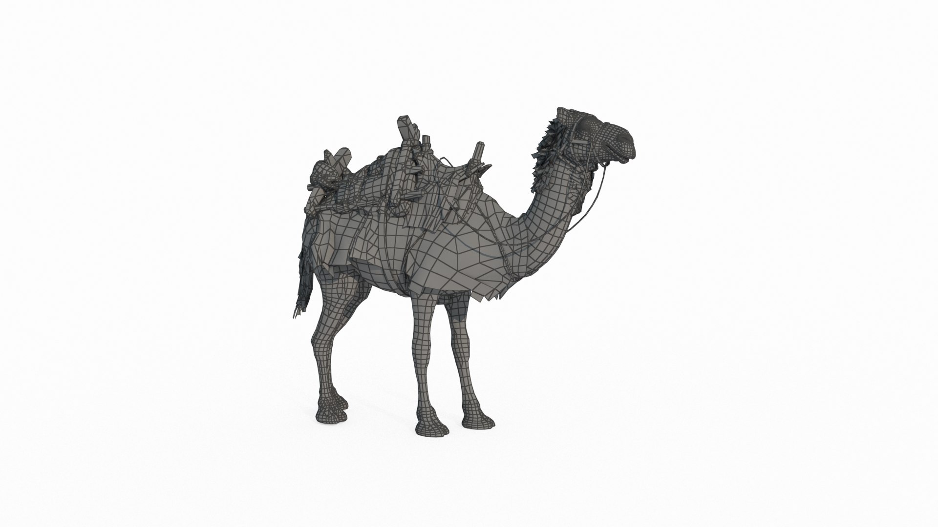 3D Model Desert Camel Mount - TurboSquid 2290427