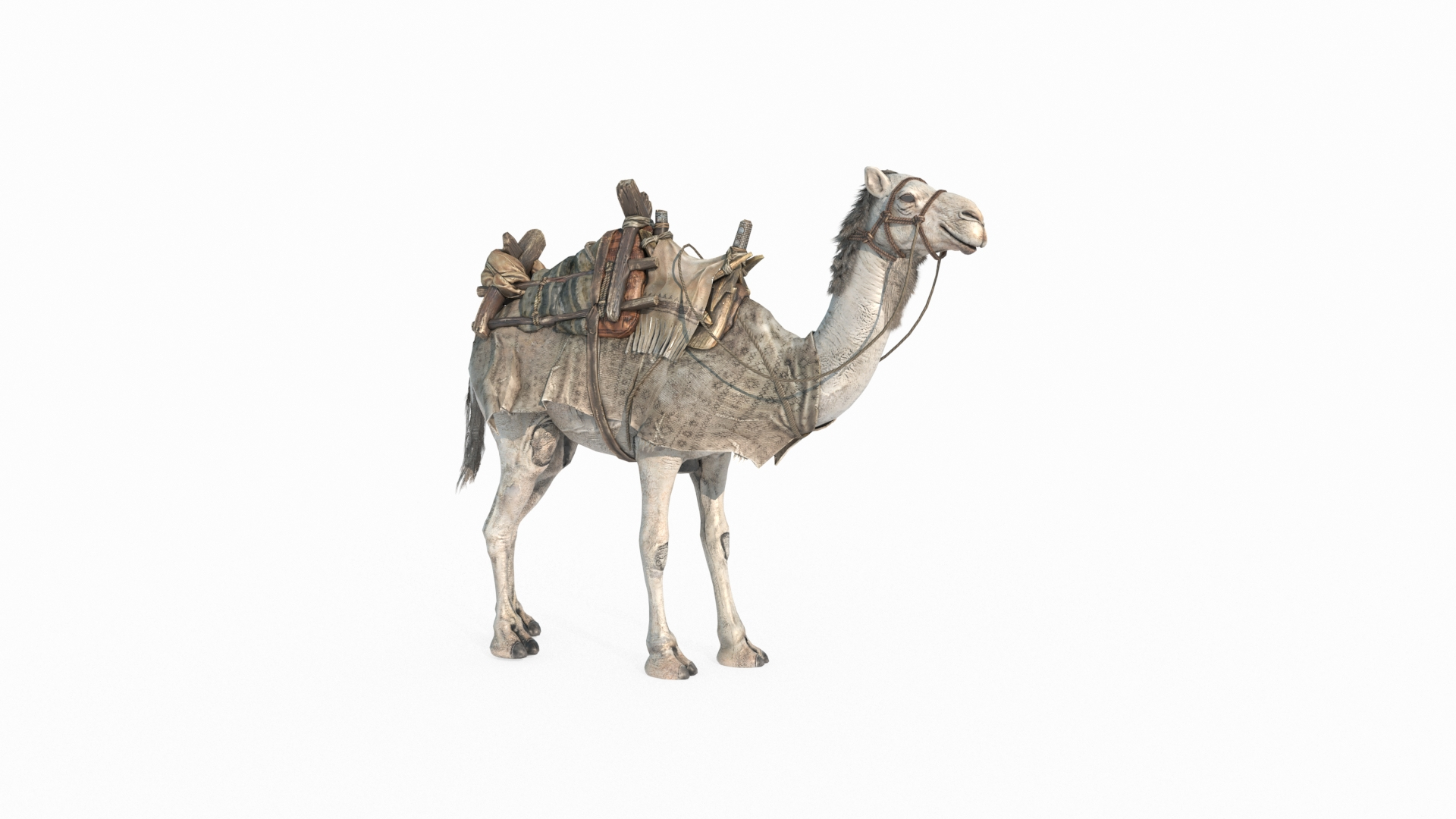 3D Model Desert Camel Mount - TurboSquid 2290427