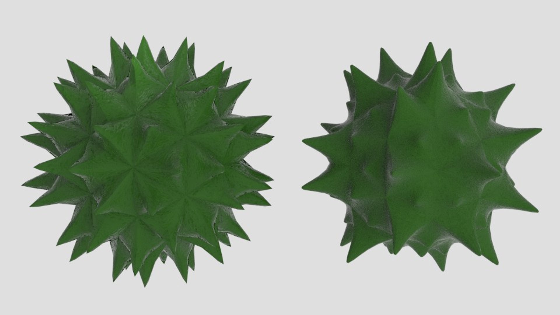 3d Model Germ