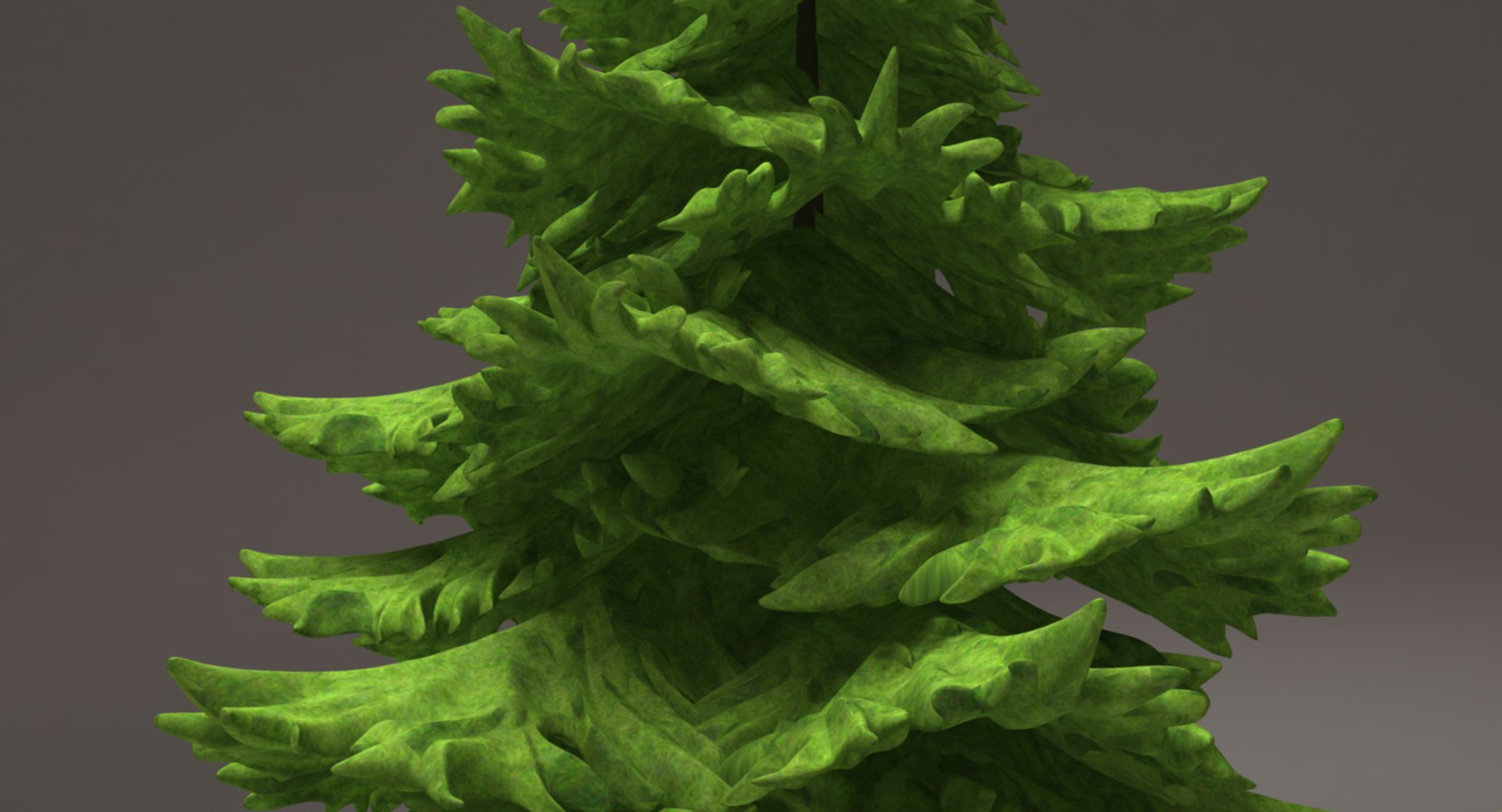 Fir Tree C4d
