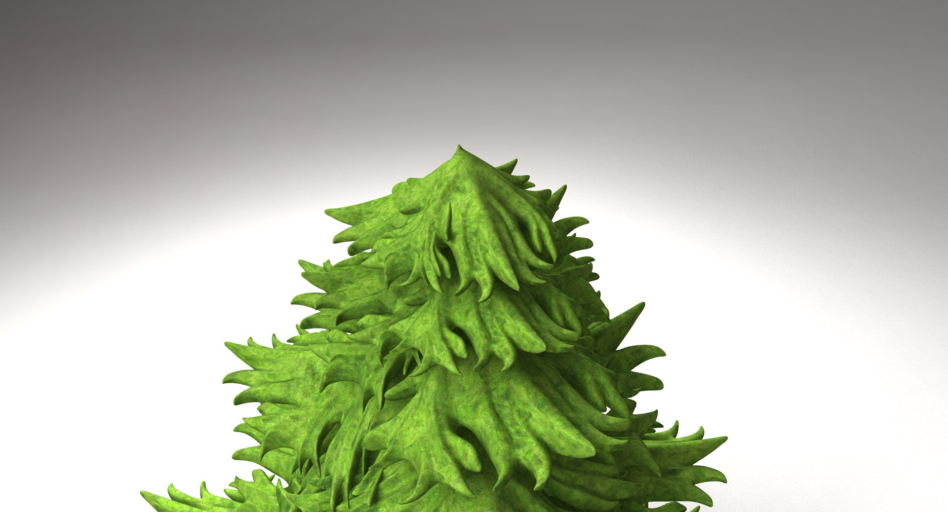 Fir Tree C4d