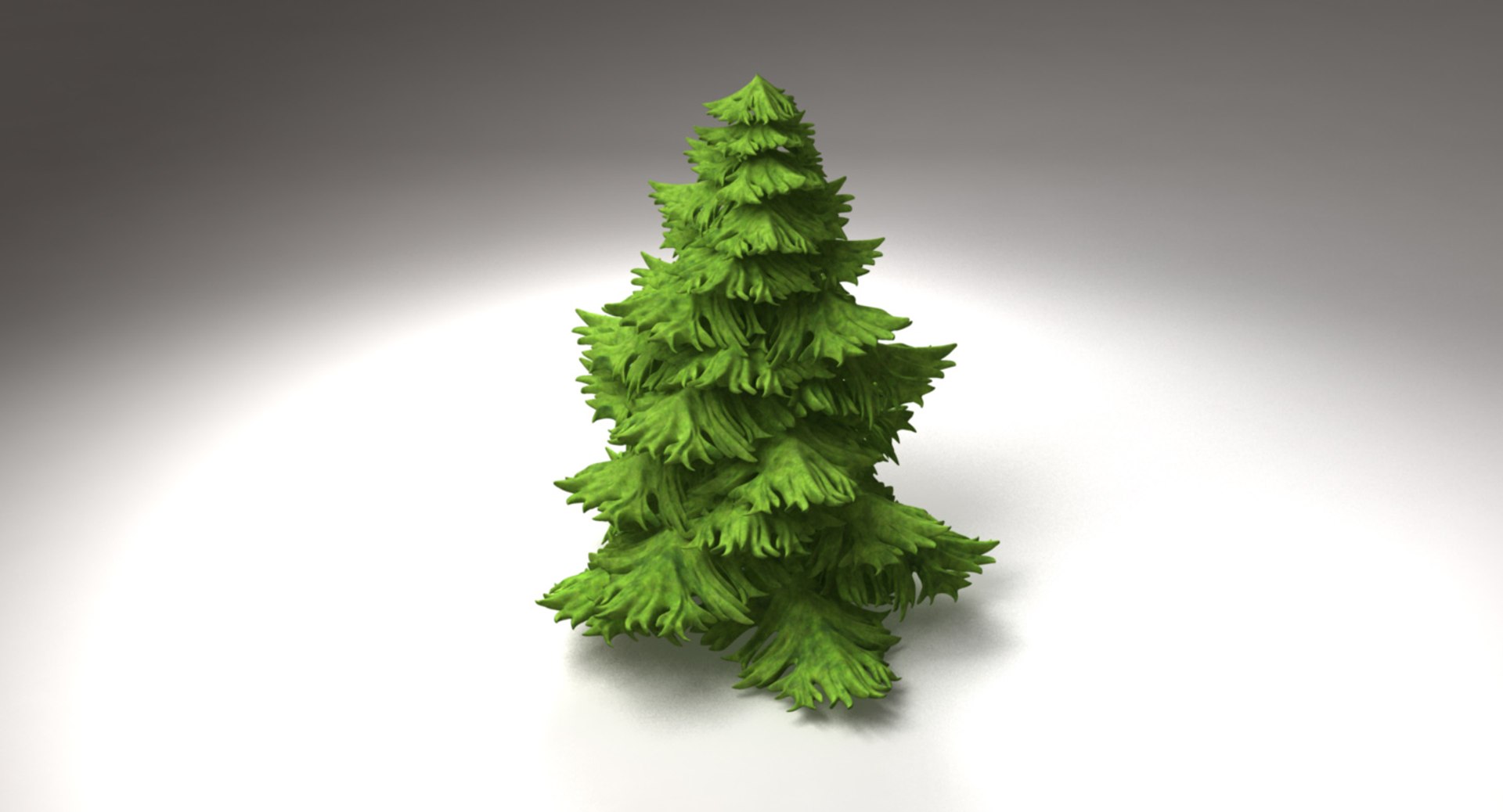 Fir Tree C4d