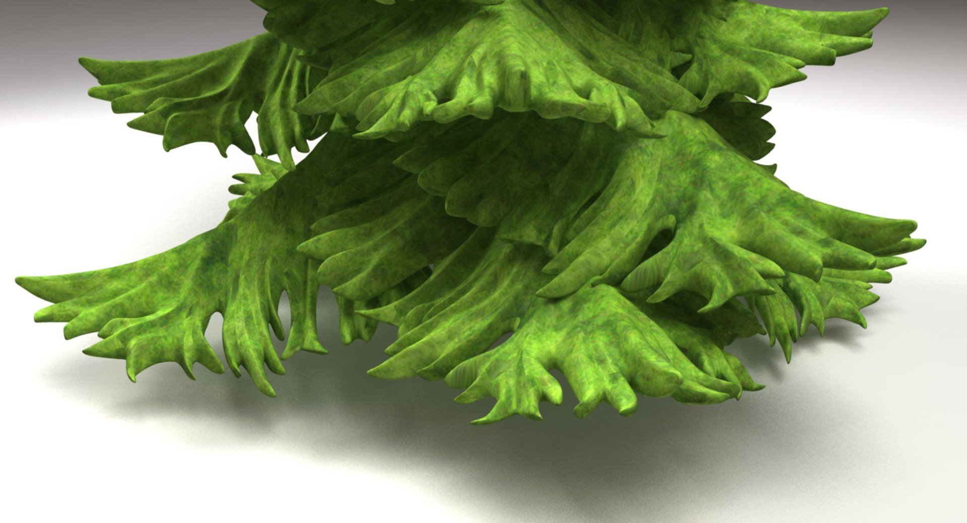 Fir Tree C4d