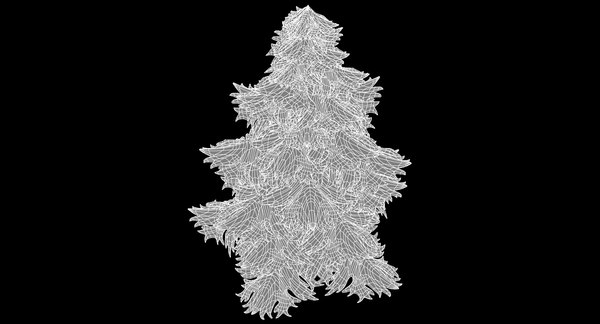 fir tree c4d