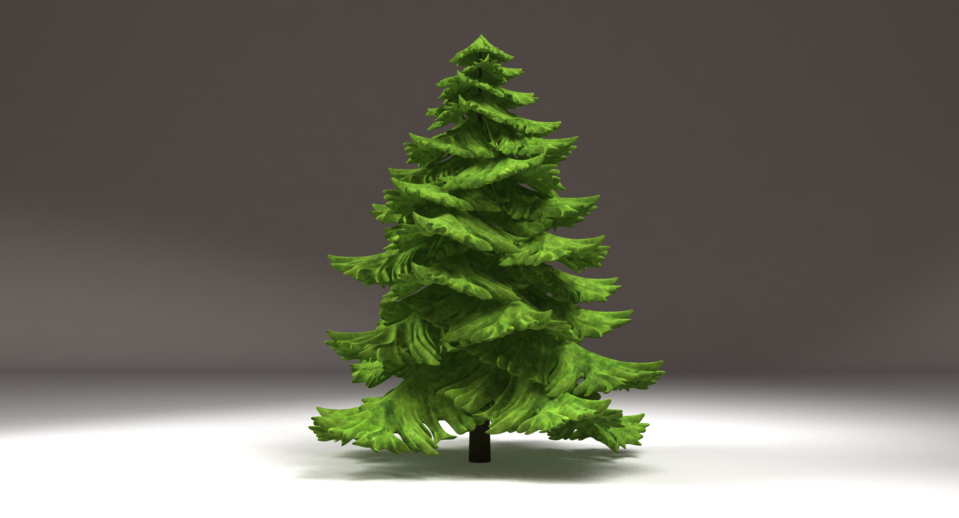 Fir Tree C4d