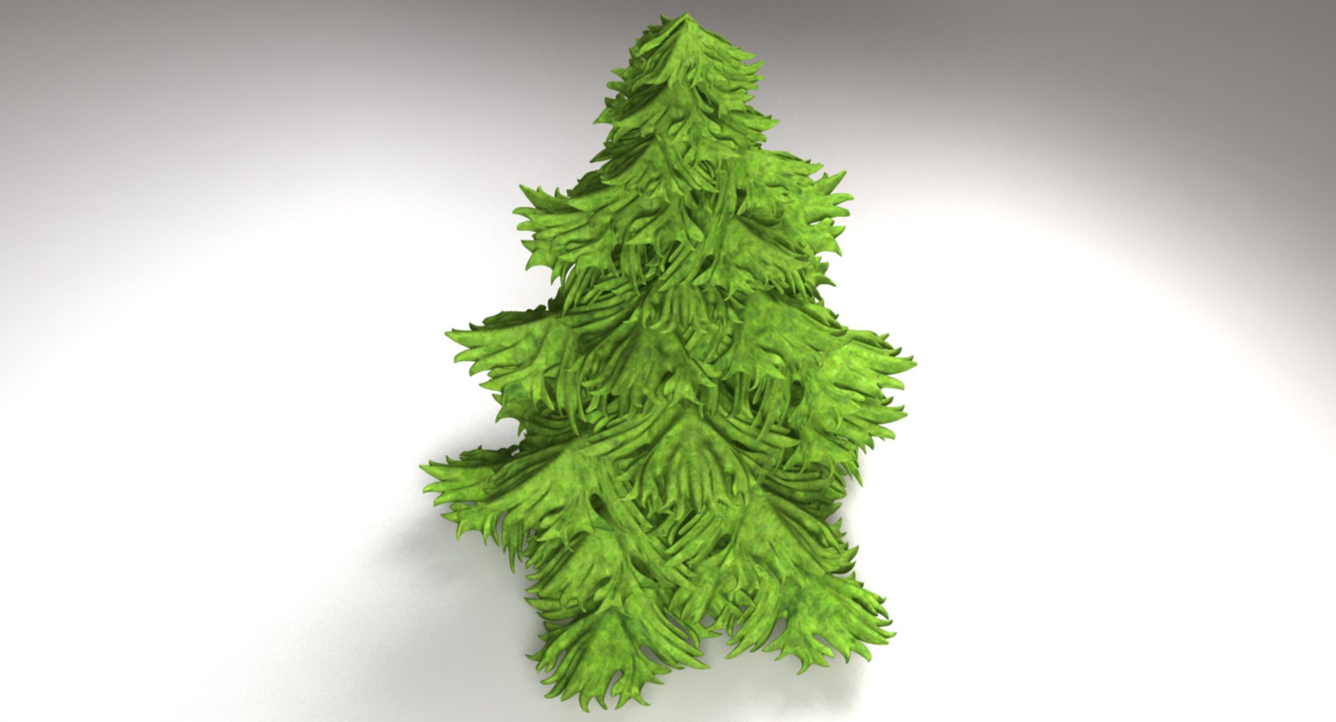 Fir Tree C4d