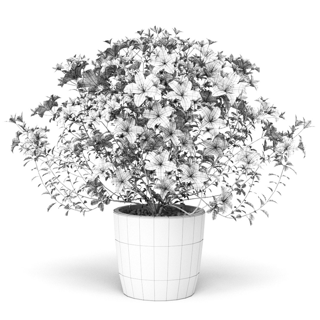 3D Plant Azalea - TurboSquid 1160075