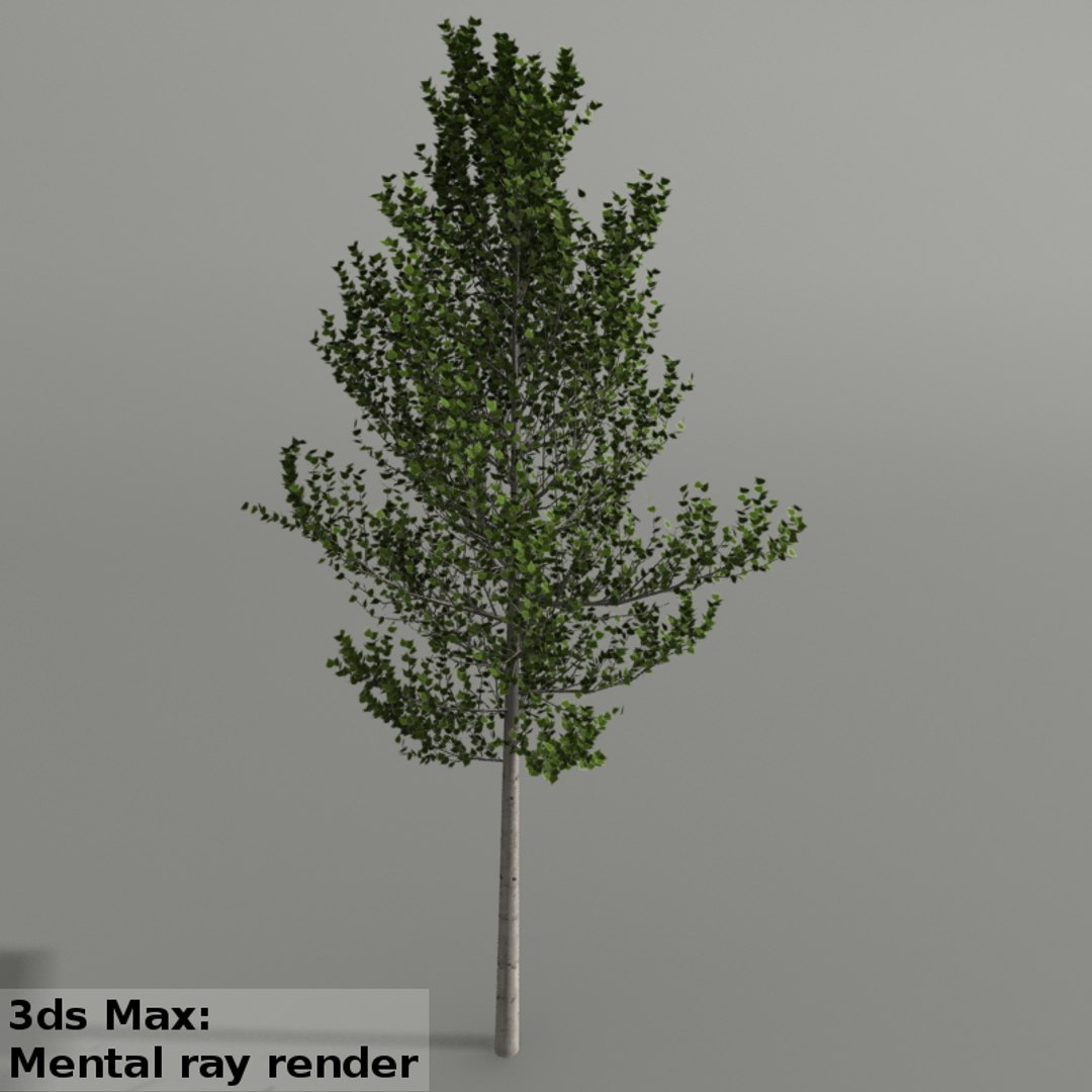Birch Blender 3ds