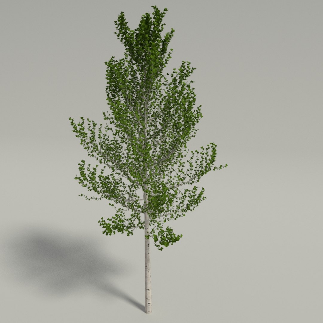Birch Blender 3ds