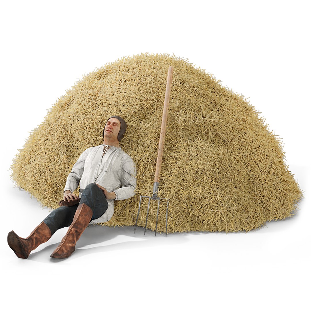 3D Medieval Farmer Resting In Hay - TurboSquid 2376449
