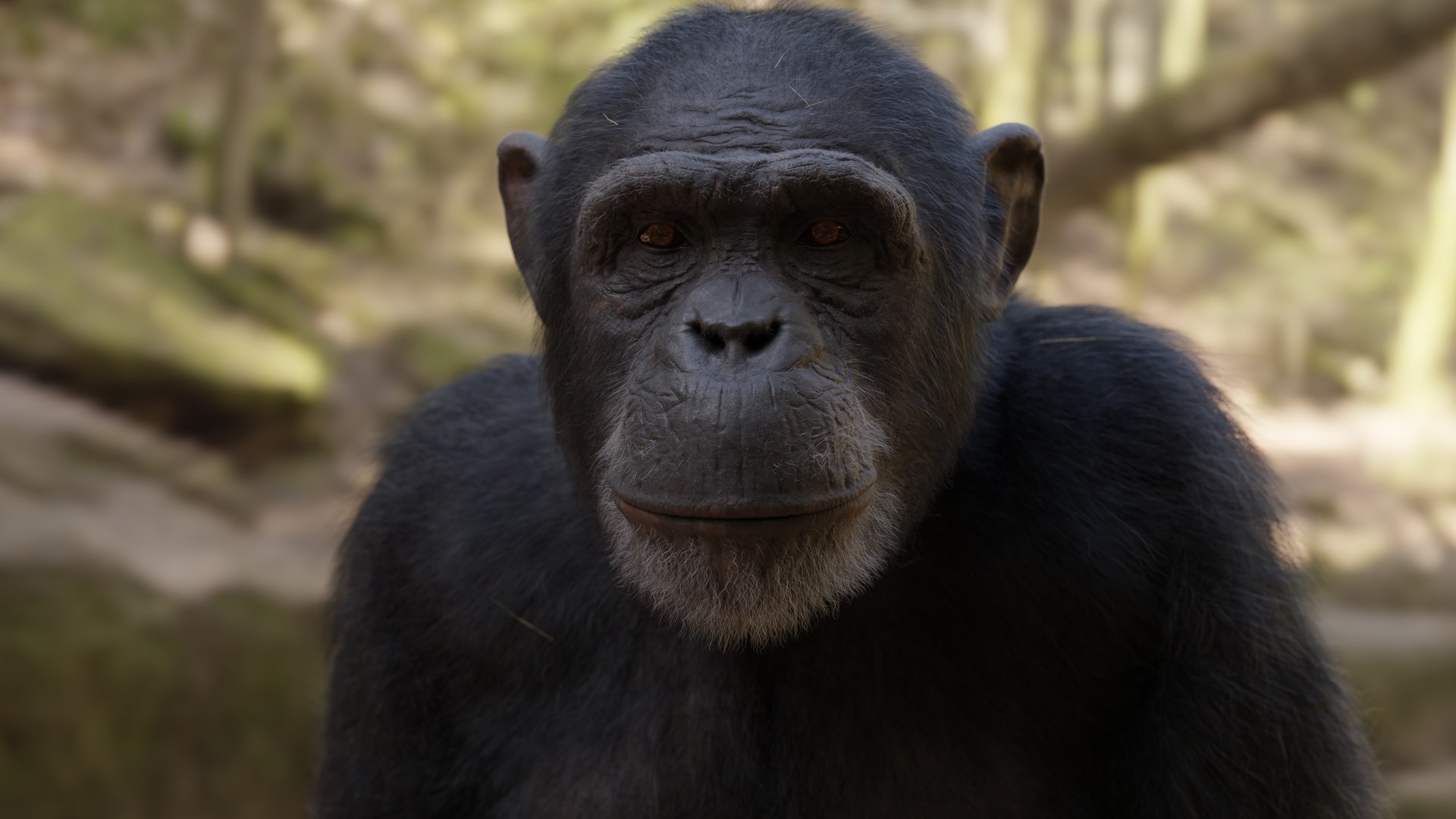 3D Chimpanzee model - TurboSquid 2005149