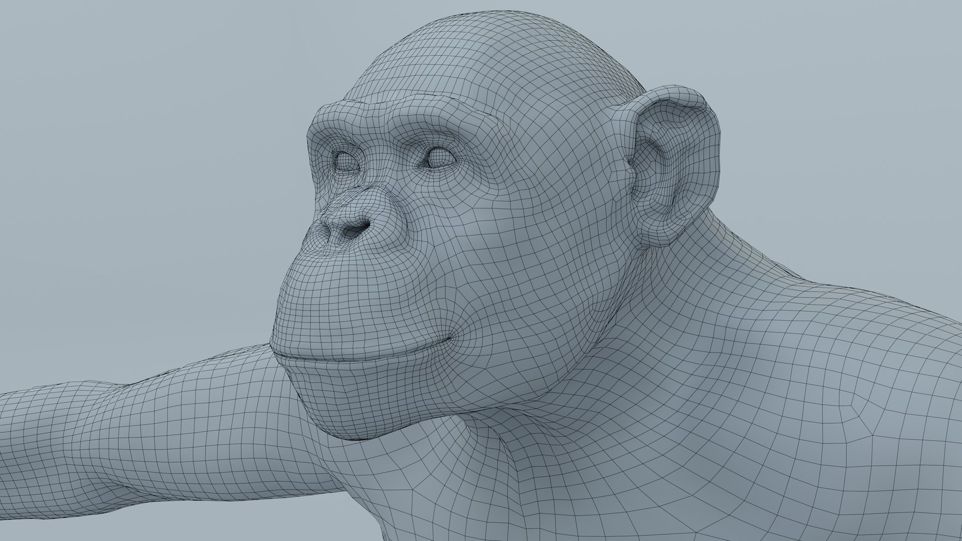 3D Chimpanzee model - TurboSquid 2005149