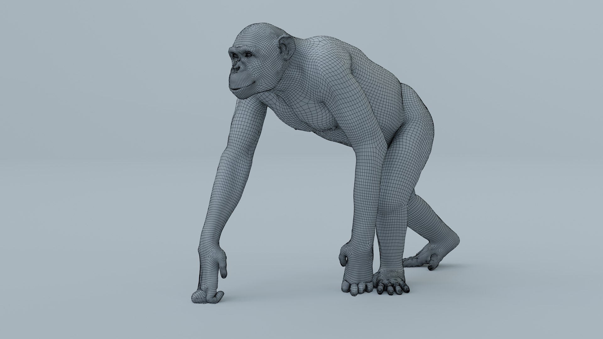 3D Chimpanzee model - TurboSquid 2005149