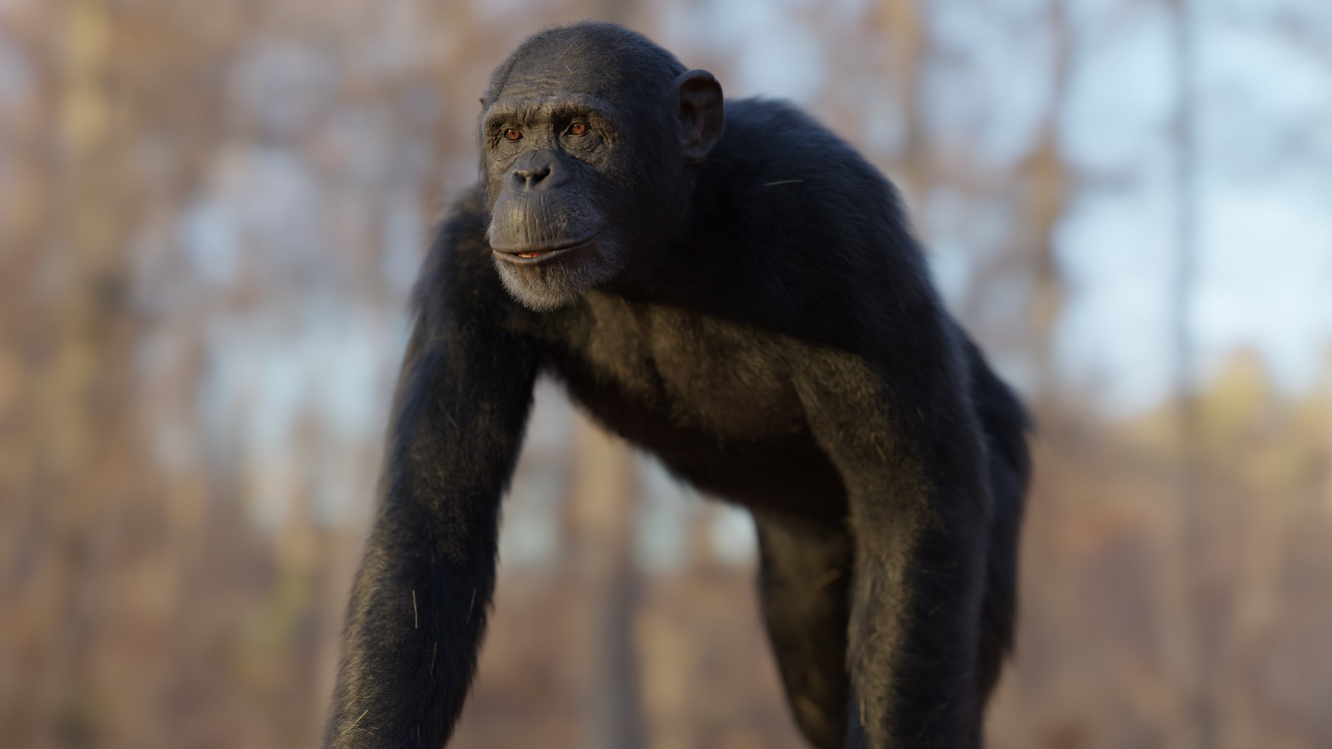 3D Chimpanzee model - TurboSquid 2005149