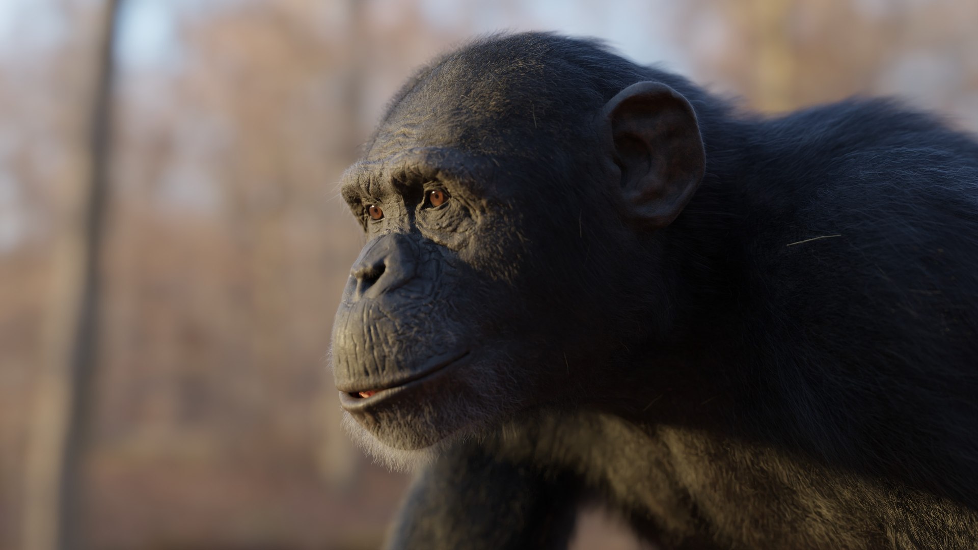 3D Chimpanzee model - TurboSquid 2005149