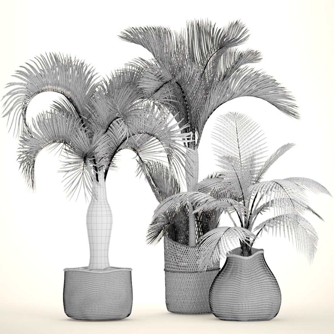 3D Tropical Plants Model - TurboSquid 1209866