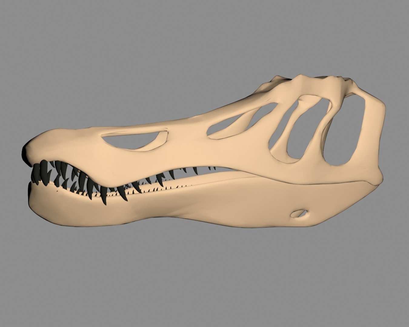 3dsmax Baryonyx Skull