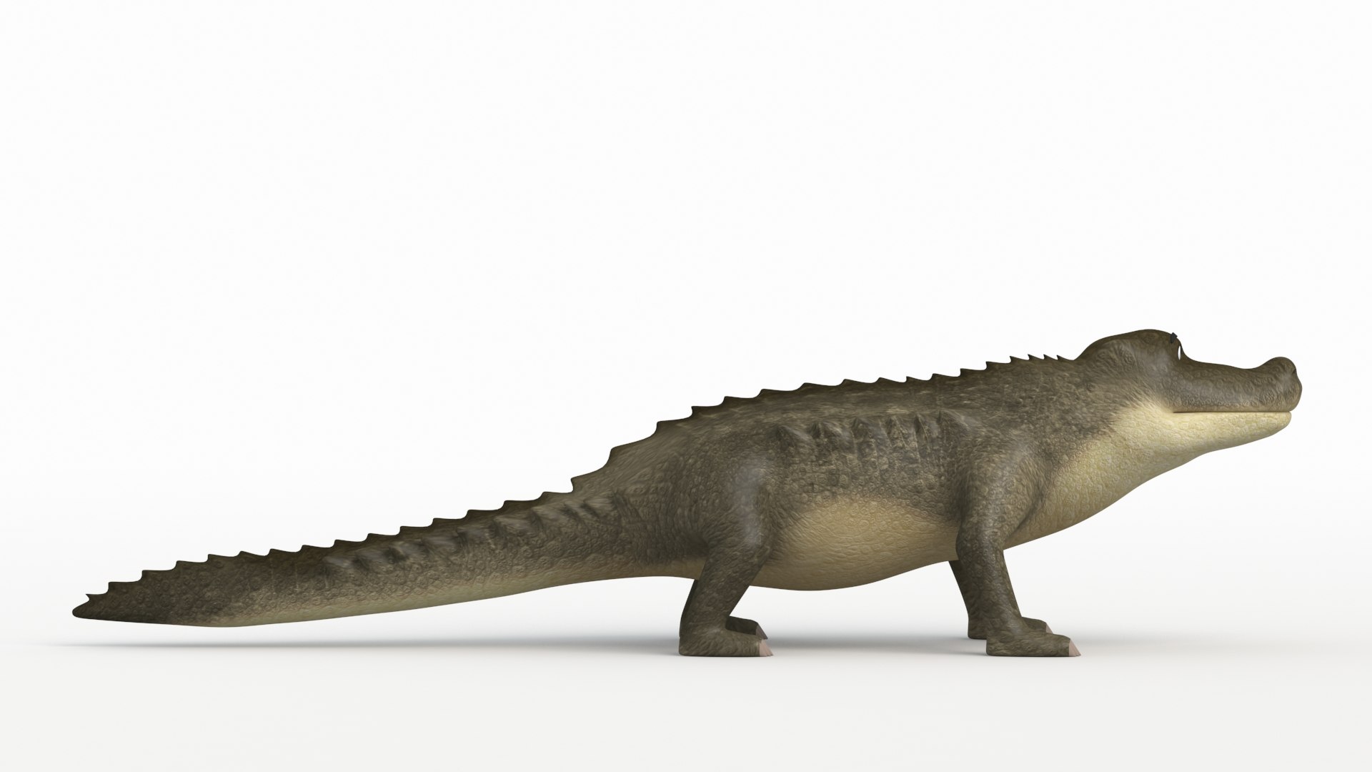 3D Crocodile - TurboSquid 2165402
