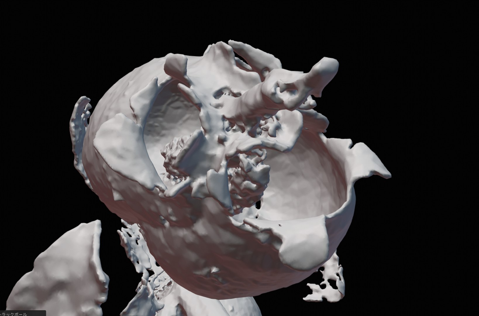 3D Antirrhinum Majus Ctscan Model - TurboSquid 1445866