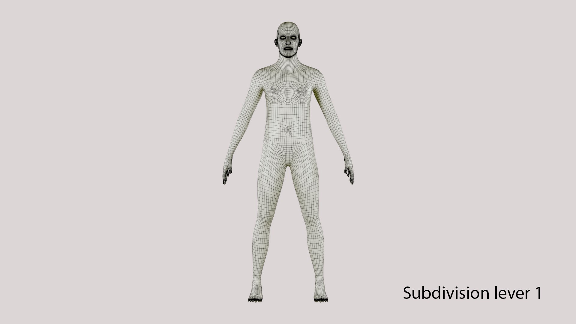 3D Model Human Body Base Mesh Topology - TurboSquid 2196084