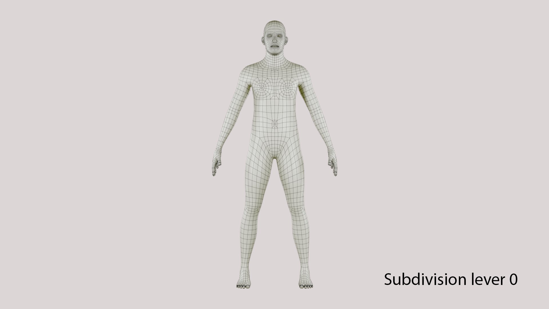 3D Model Human Body Base Mesh Topology - TurboSquid 2196084