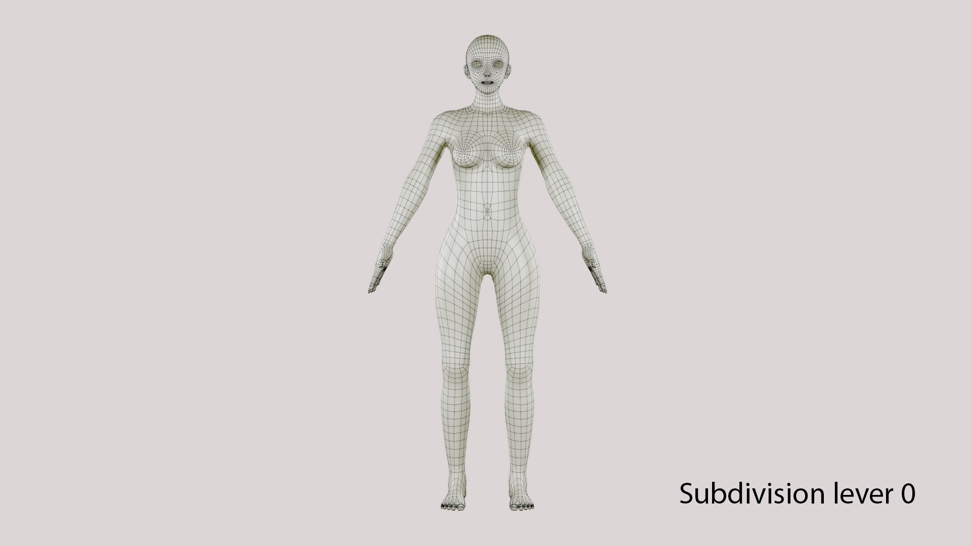 3D Model Human Body Base Mesh Topology - TurboSquid 2196084