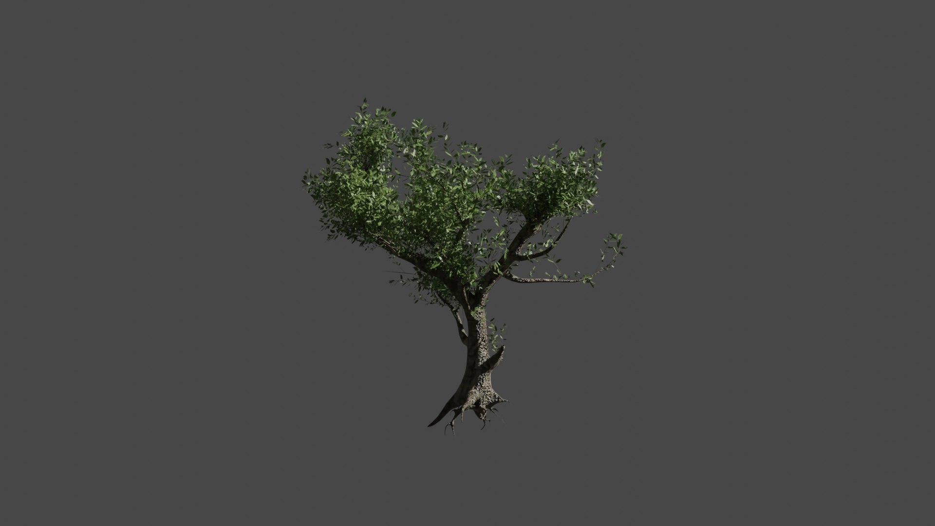 3D Realistic Tree - TurboSquid 1792865