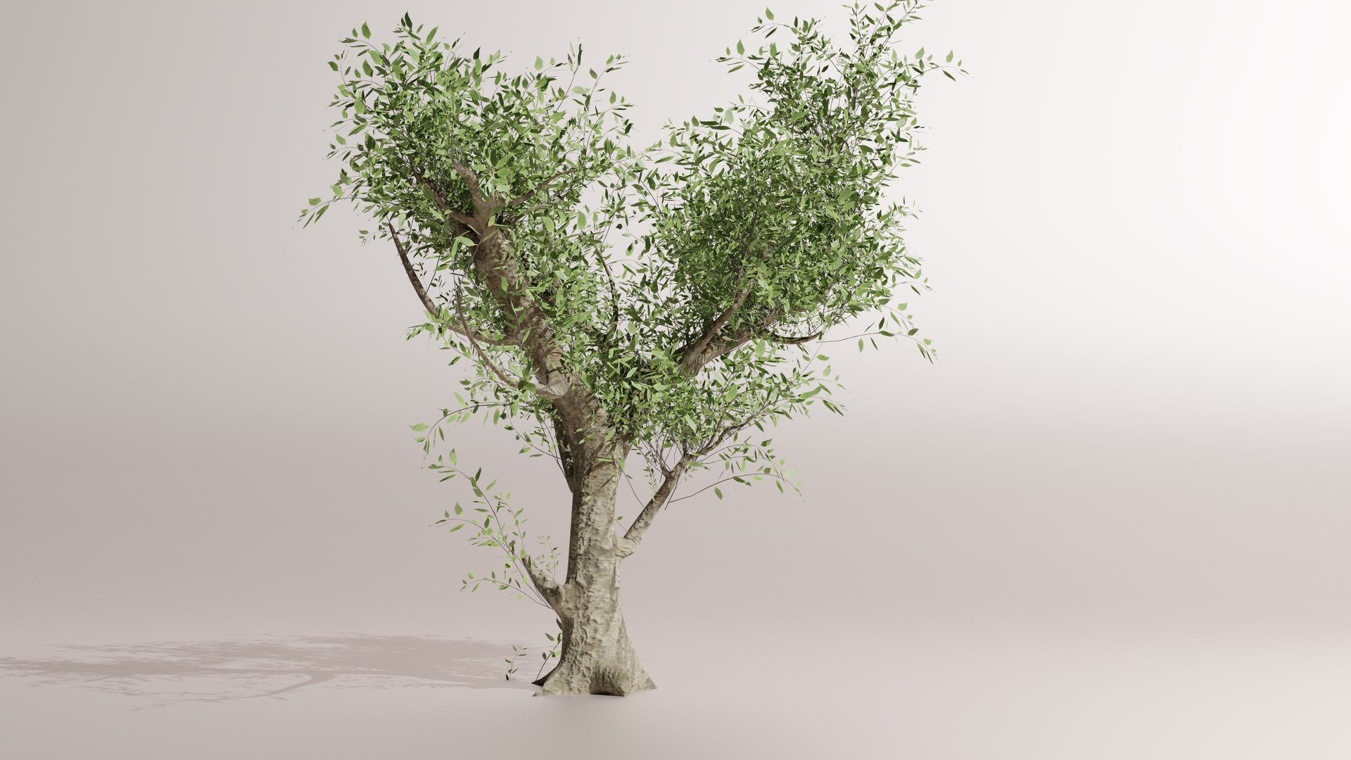 3D Realistic Tree - TurboSquid 1792865