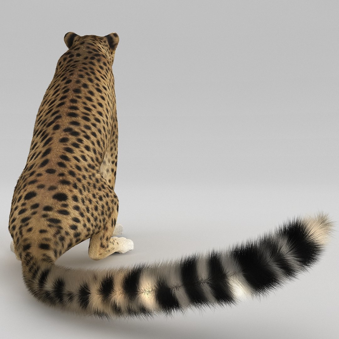 Cheetah 2 Pose 3 3d Max