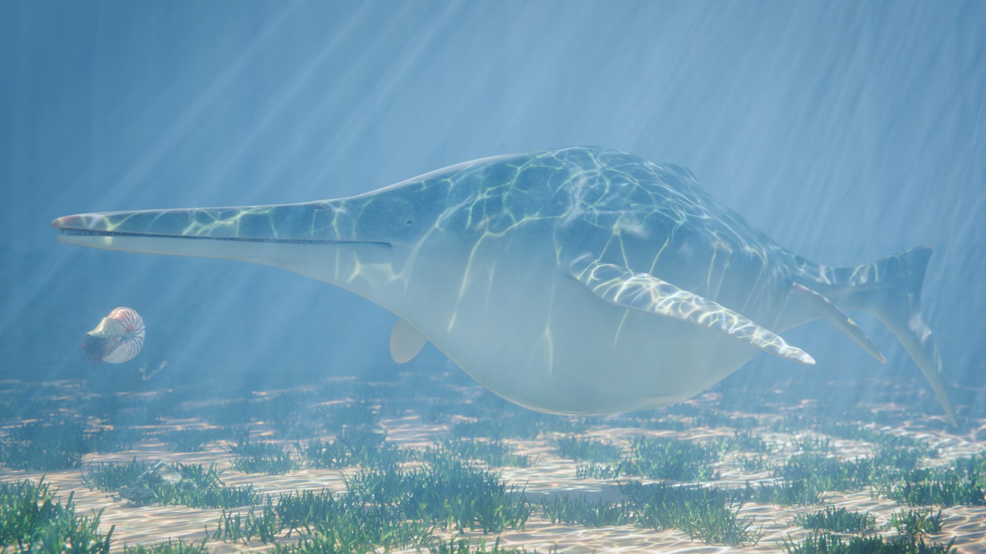 3D Shonisaurus - TurboSquid 2328873