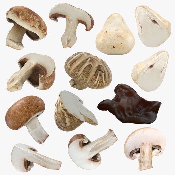 Low Poly Mushroom 3D Models for Download | TurboSquid