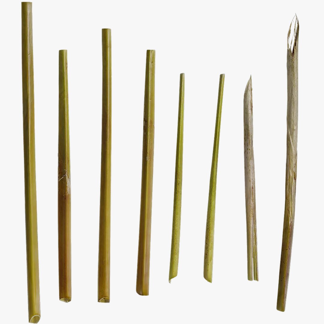 3D Anydrafts Phyllostachys Heteroclada Leaf Sheath 01 Textures ...