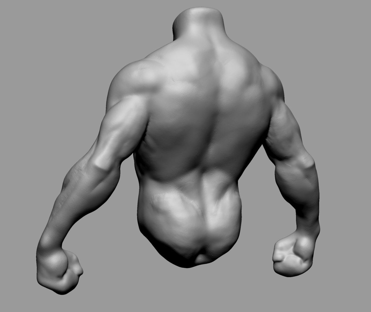 3D Male Torso Model - TurboSquid 1430539