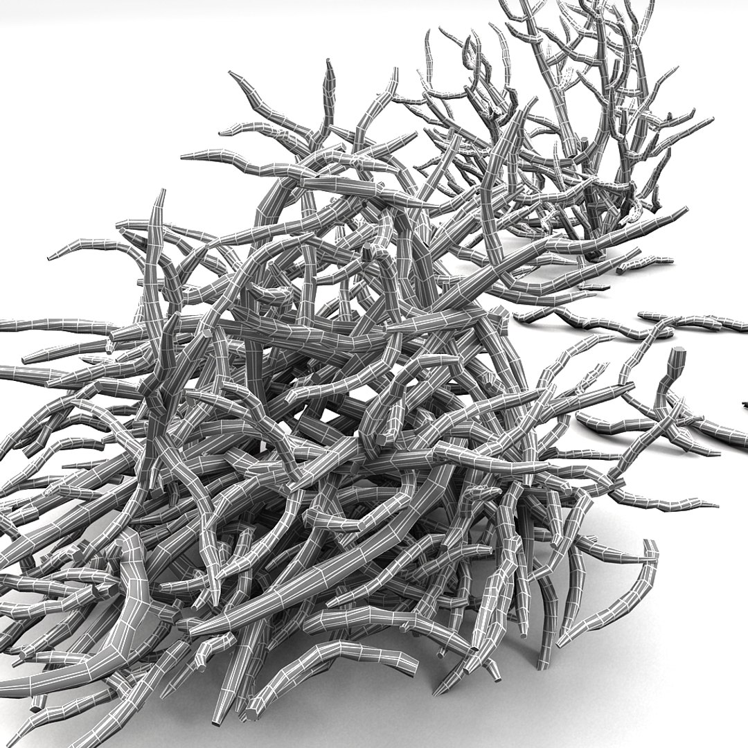 Twig 3d Model